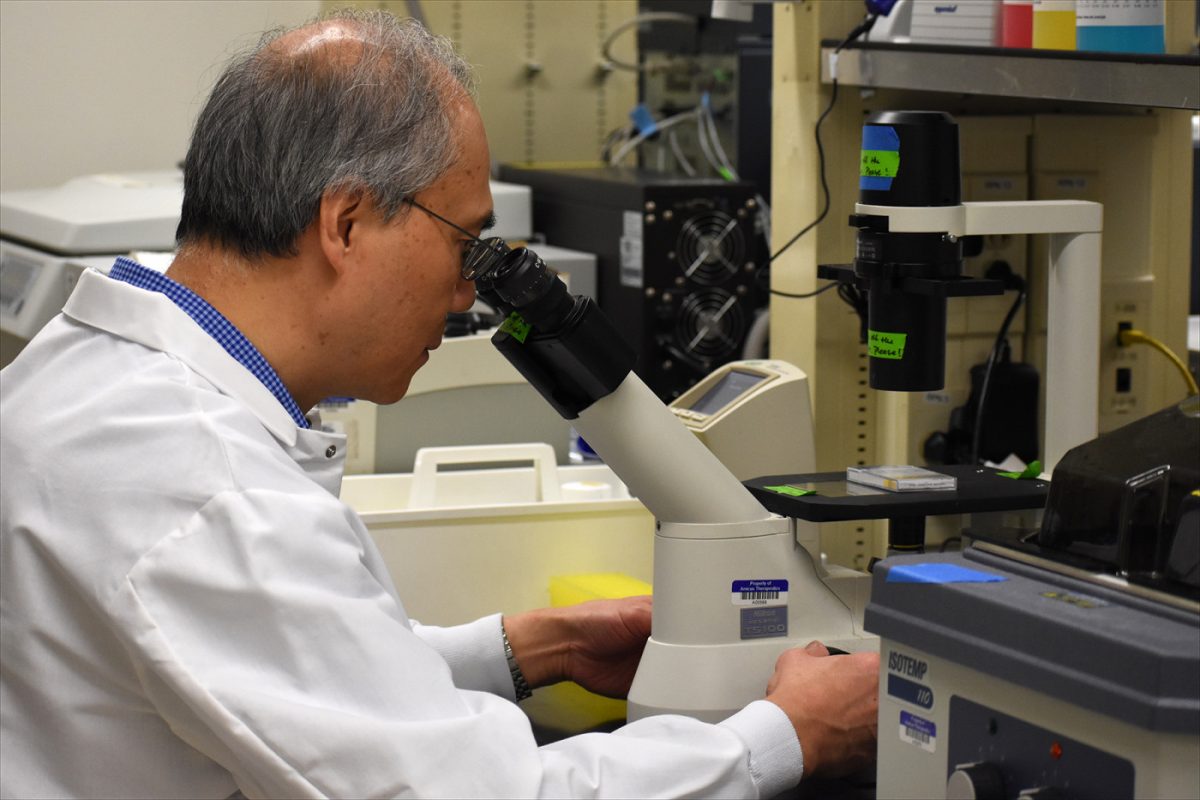 Amicus CEO John Crowley Outlines Progress in Batten, Pompe, Fabry ...